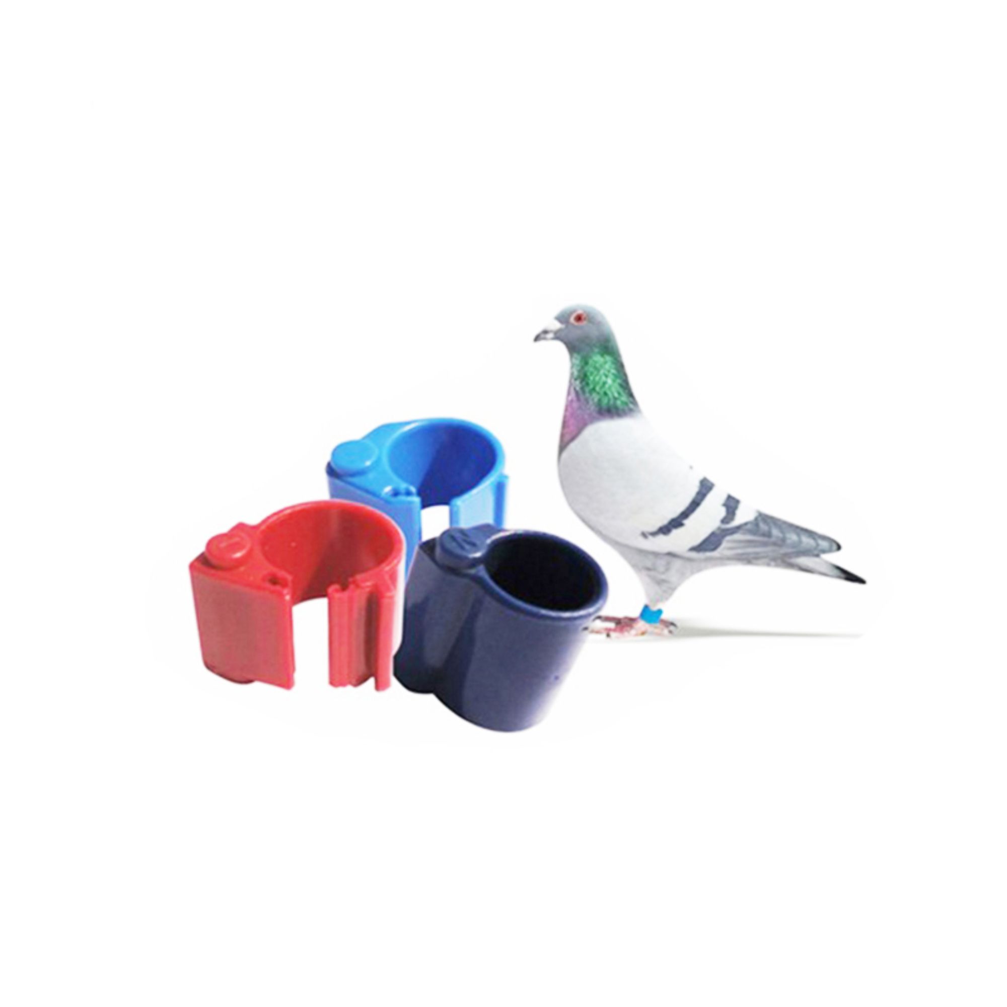 RFID Bird Ring racing pigeon tracking