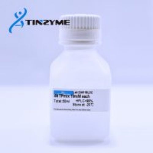 dNTP Mix 10mM each solution | dNTP and NTP